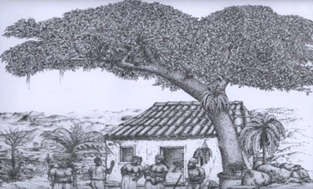 Quilombo | Capoeira Auvergne En